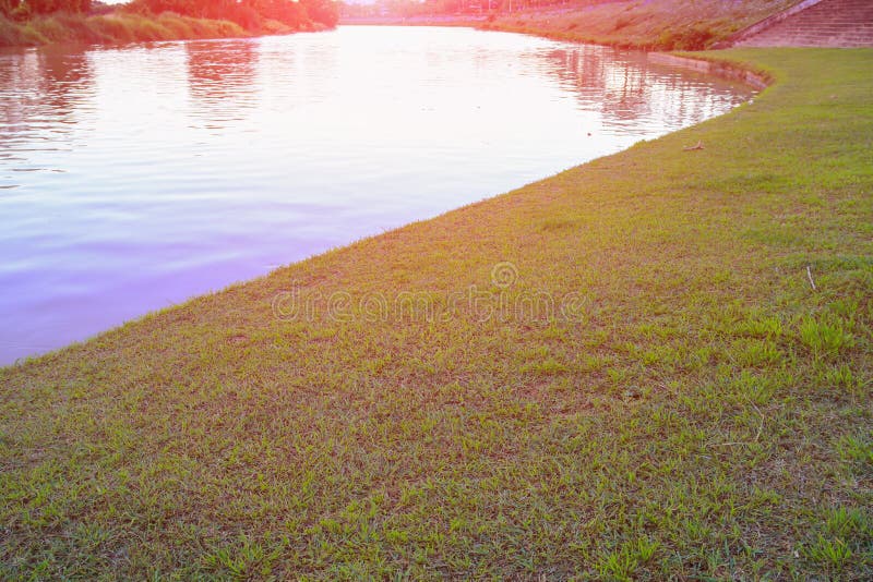 Green Spring Grass, Riverside with Sunset Light in Nature Stock Photo ...
