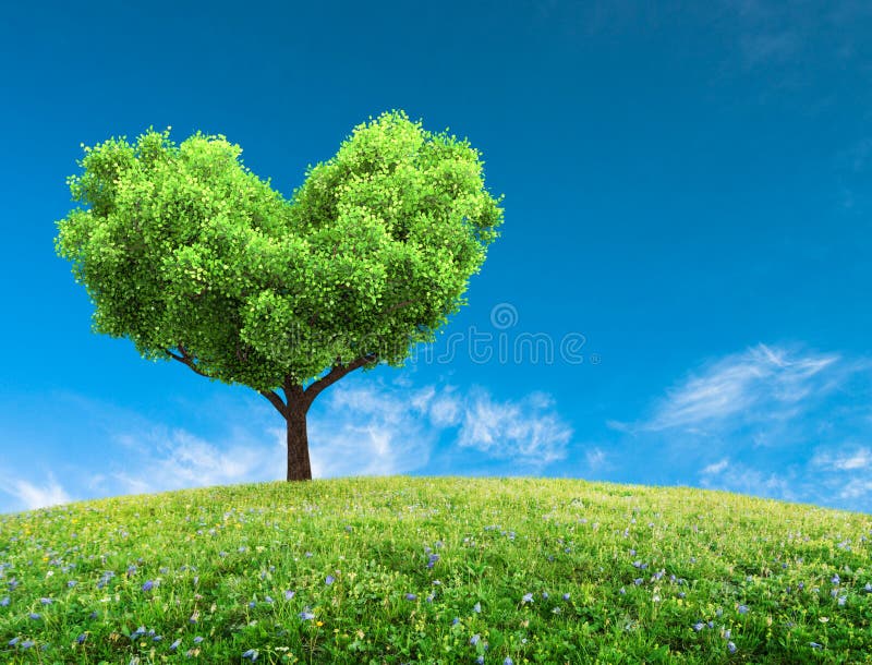 Green spring landscape stock photo. Image of clouds - 113312446