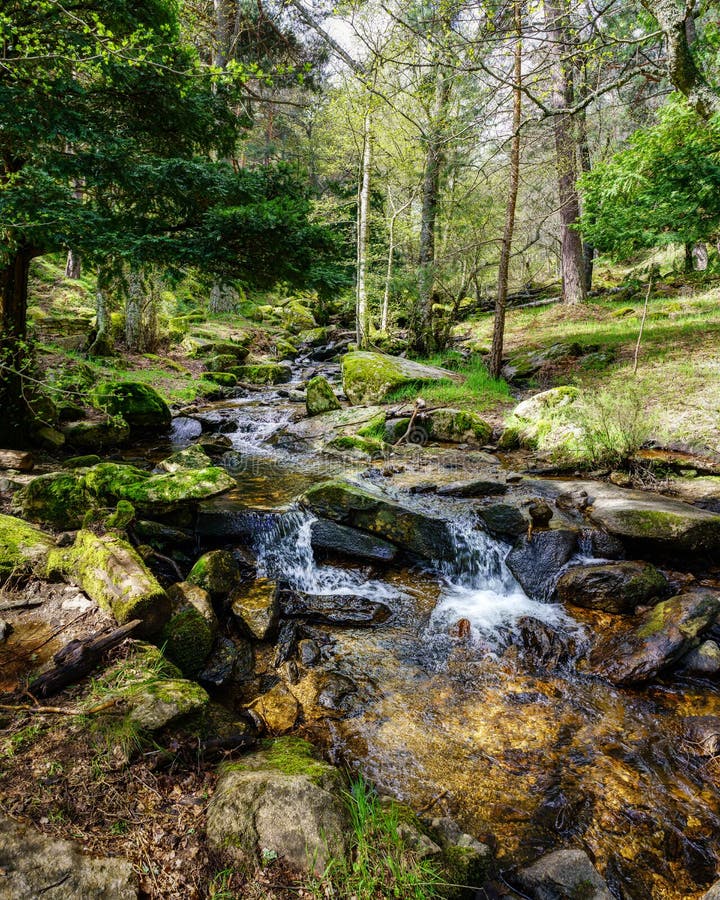 Green Spring Landscape with Stream of Water Falling between the Rocks ...