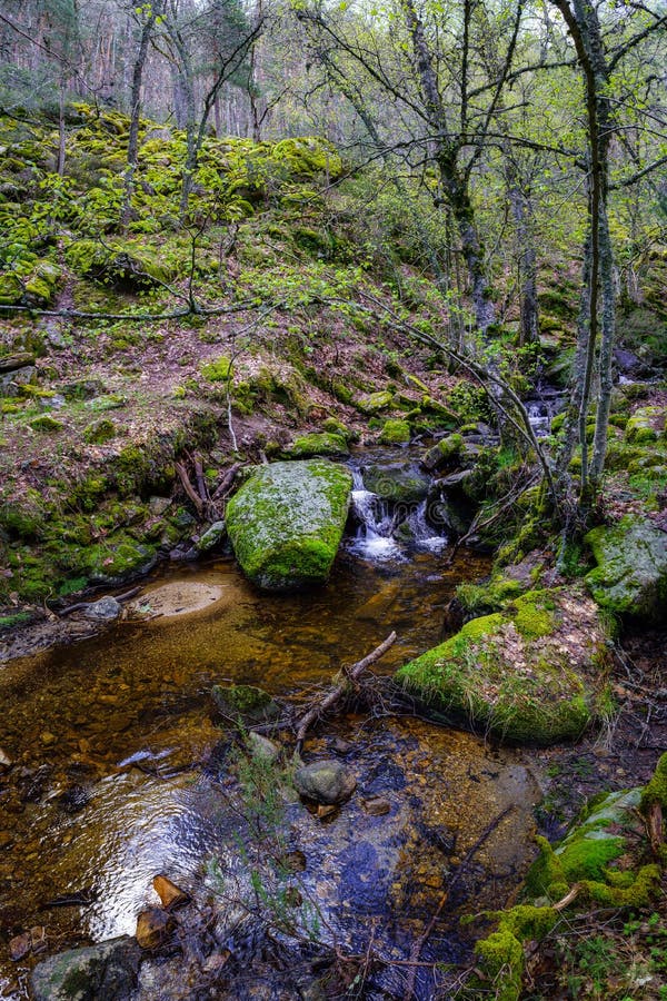 Green Spring Landscape with Stream of Water Falling between the Rocks ...