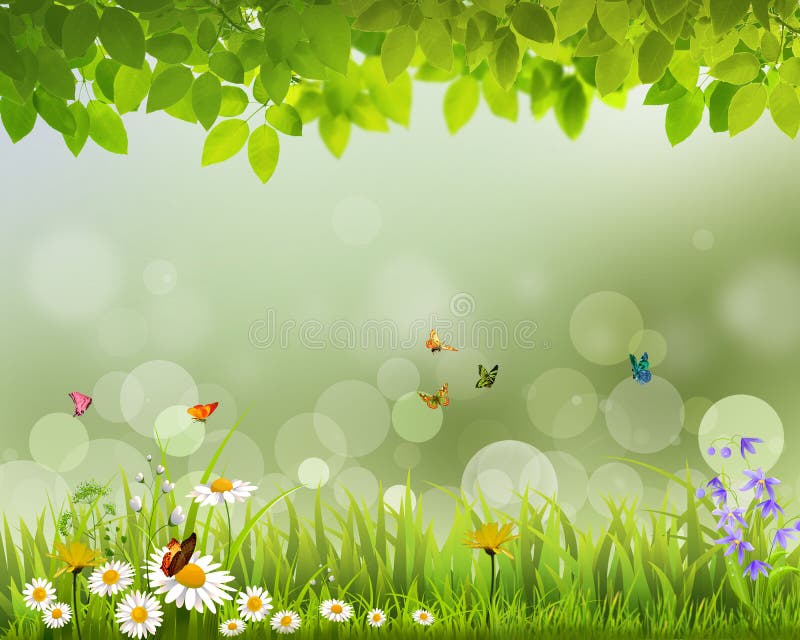 Green Spring Live Wallpaper . Stock Illustration - Illustration of leaf ...