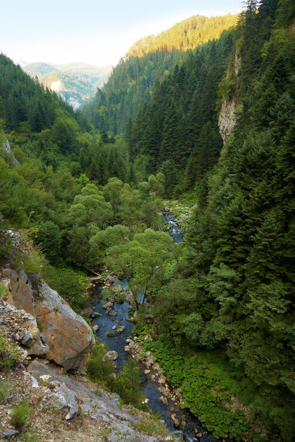 Green Spring Mountain Scenery Stock Photo - Image of bulgaria, nature ...