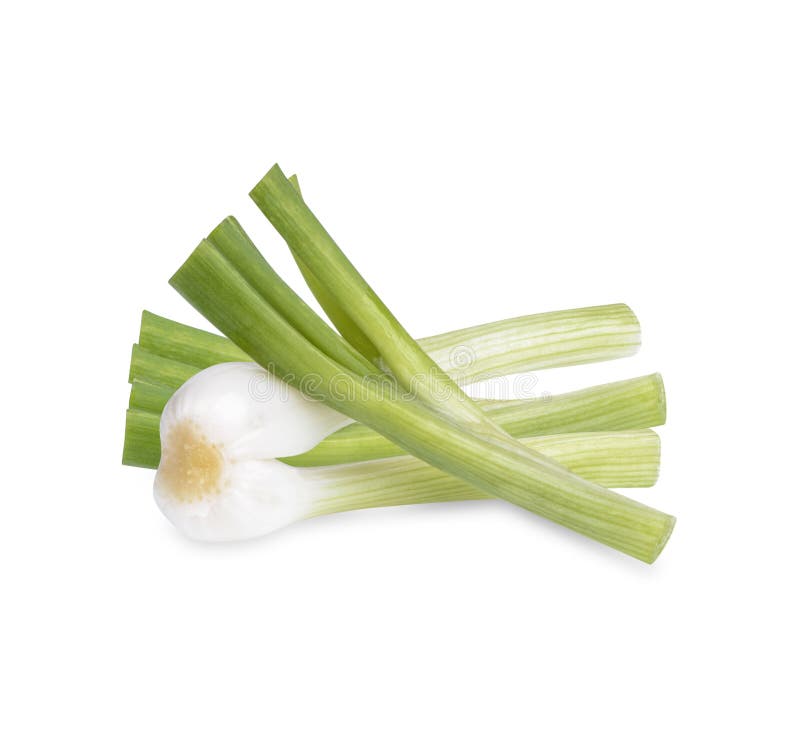 Green Spring Onion Isolated on White Background Stock Image - Image of ...