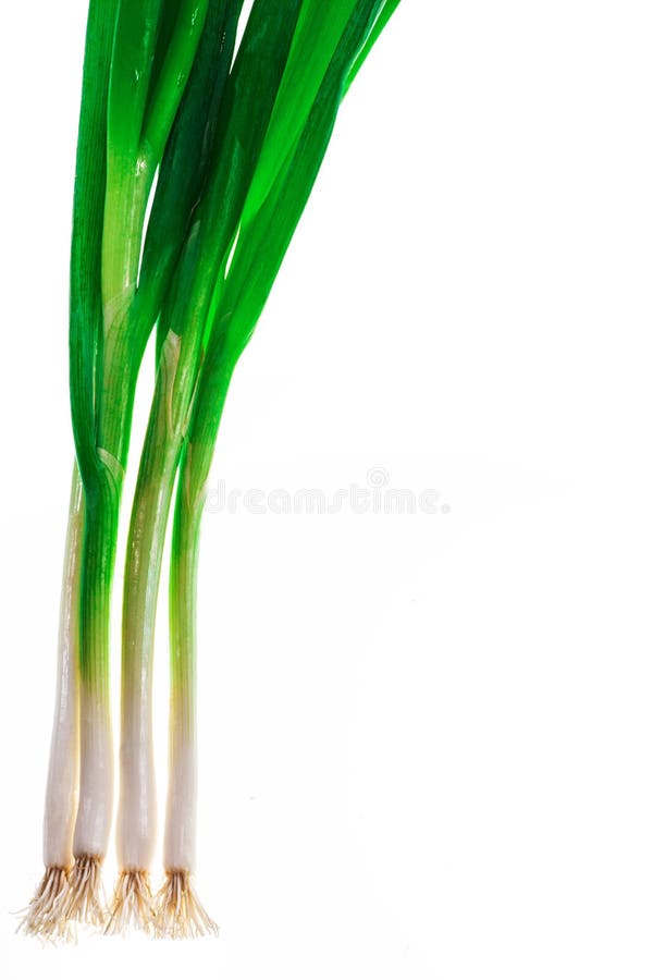 Green Spring Onion on White Background Stock Photo - Image of lunch ...