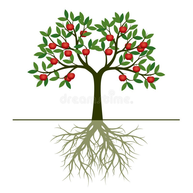 Drawing Root Tree Stock Illustrations – 6,407 Drawing Root Tree Stock ...