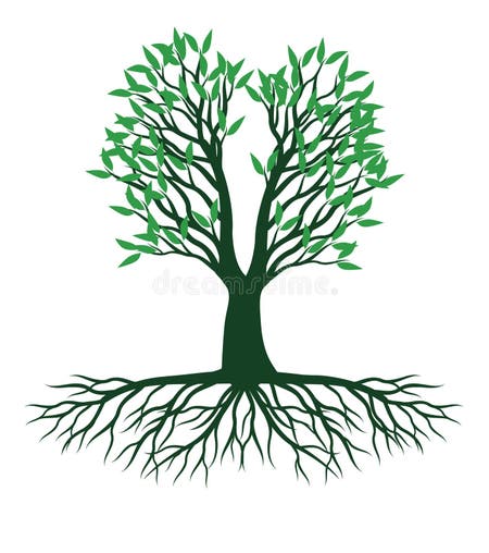 Green Spring Tree with Roots. Vector Illustration Stock Vector ...