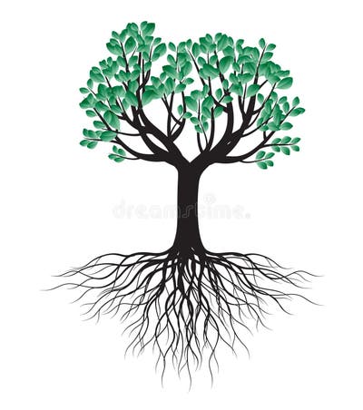 Green Spring Tree with Roots. Vector Illustration Stock Vector ...