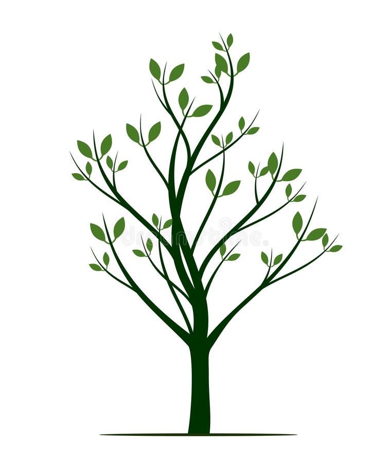 Green Spring Tree. Vector Outline Illustration Stock Vector ...