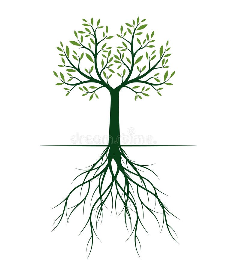 Green Spring Tree. Vector Outline Illustration Stock Vector ...