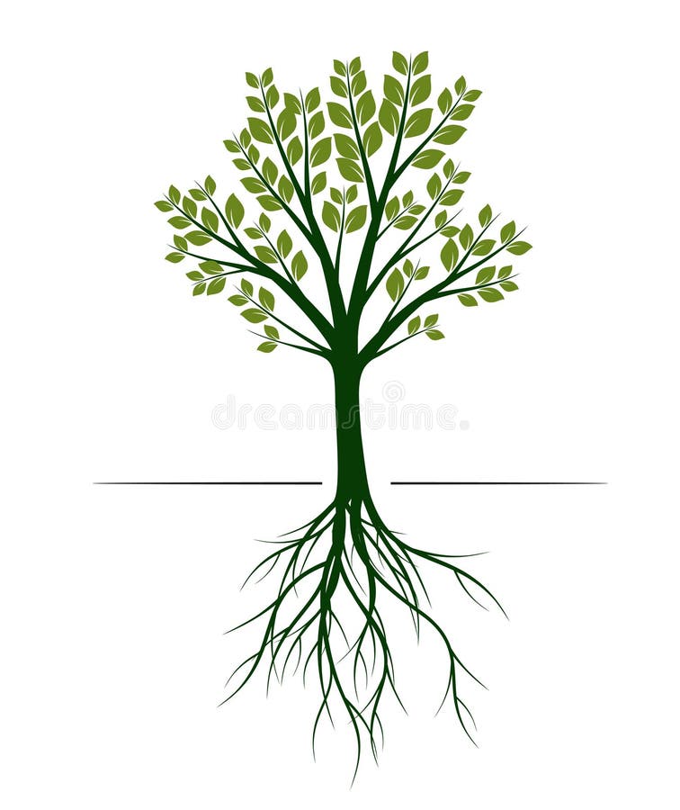 Green Spring Tree. Vector Outline Illustration Stock Vector ...