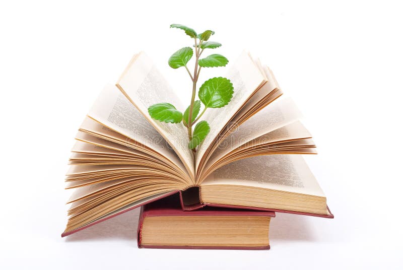 Green Sprout Growing from Open Book Stock Photo - Image of open, green ...