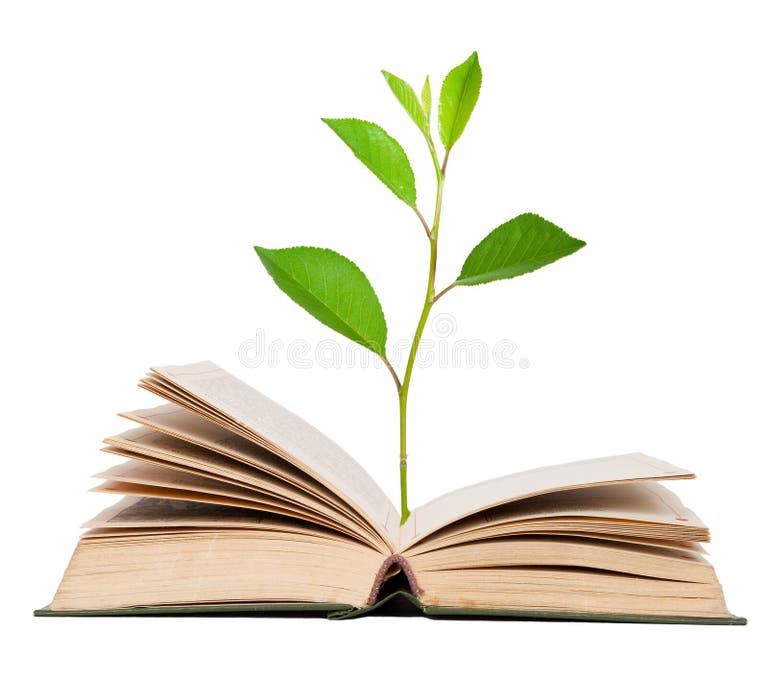 113 Open Book Sprout Stock Photos - Free & Royalty-Free Stock Photos ...
