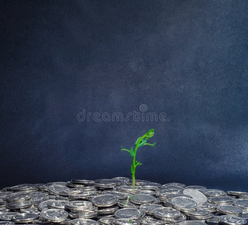 Environmental Problems Green Sprout Growing Scattered Coins Save World ...