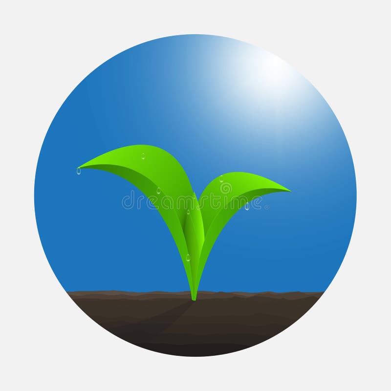 Green Sprout Logo Vector Illustration Stock Vector - Illustration of ...
