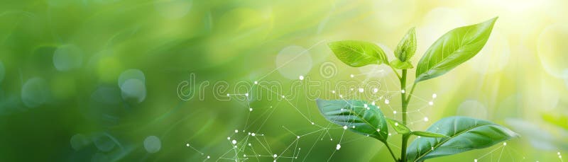 Budding Plant with Abstract Network on a Soft Green Background Stock ...