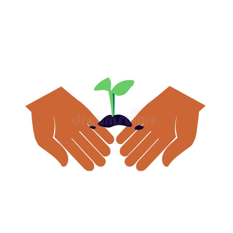 Green Sprout on the Palms. Vector Illustration. Stock Vector ...