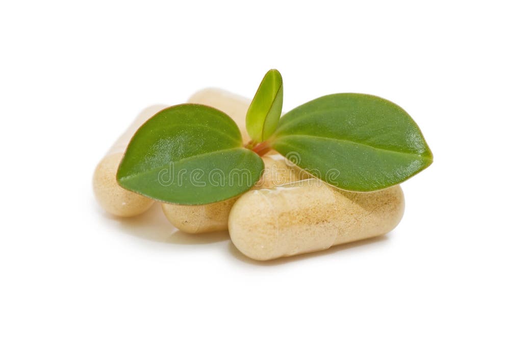 Green sprout from pills stock image. Image of dose, health - 15526595