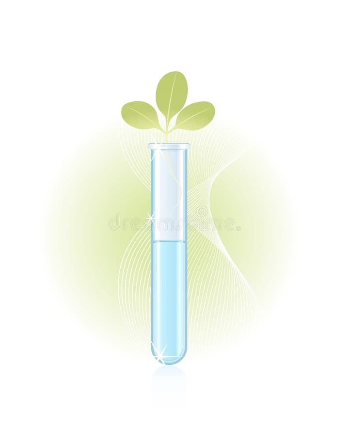 Green Sprout in a Test Tube Stock Vector - Illustration of achievement ...