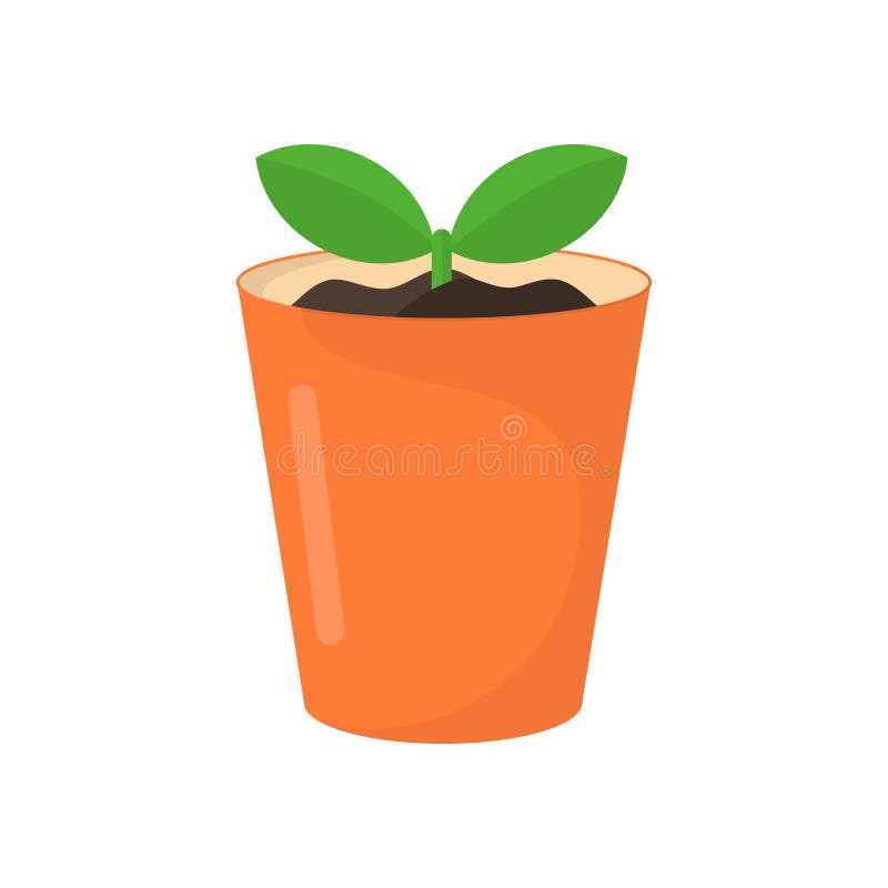 Green Sprout with Two Leaves in a Flower Pot. Isolated on a White ...