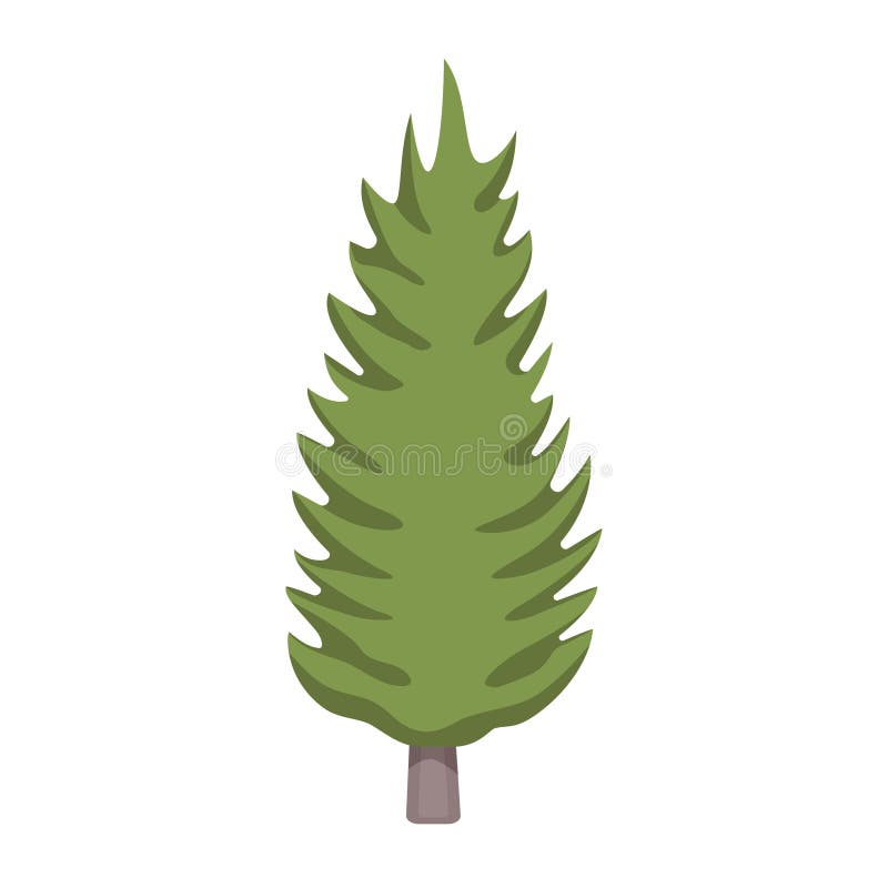 Green Spruce or Pine, Evergreen Tree with Needles from Forest Stock ...