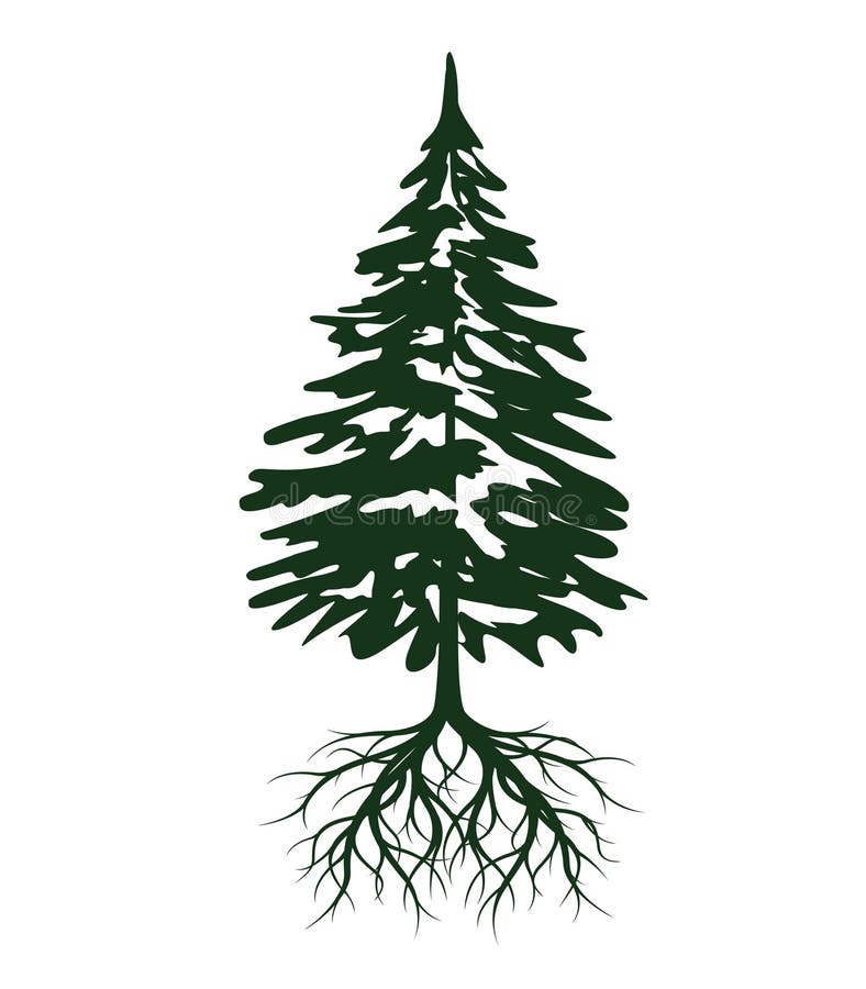 Tree and Roots. Vector Illustration Stock Illustration - Illustration ...
