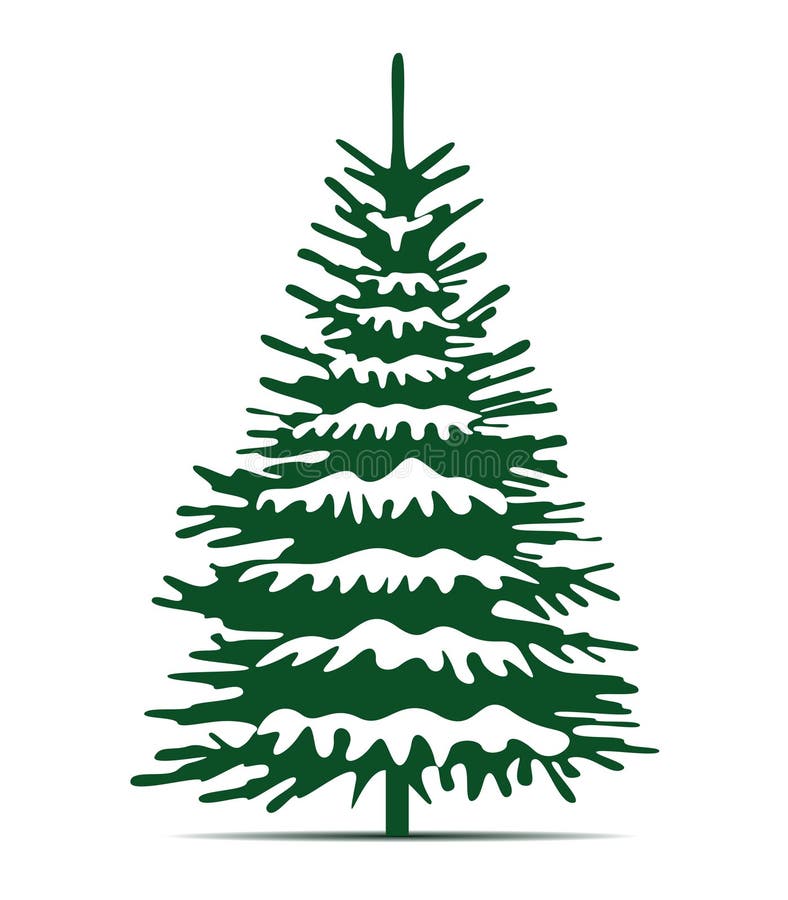 Green Spruce Tree with Roots. Vector Illustration and Icon. Evergreen ...