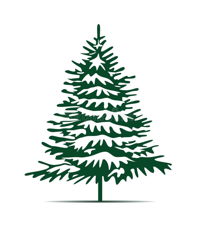 Green Spruce Tree. Vector Illustration and Icon. Evergreen Tree Stock ...