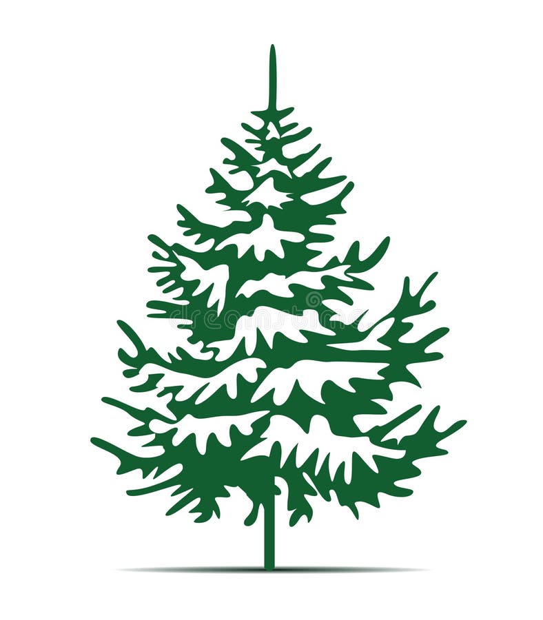 Green Spruce Tree with Roots. Vector Outline Illustration Stock Vector ...