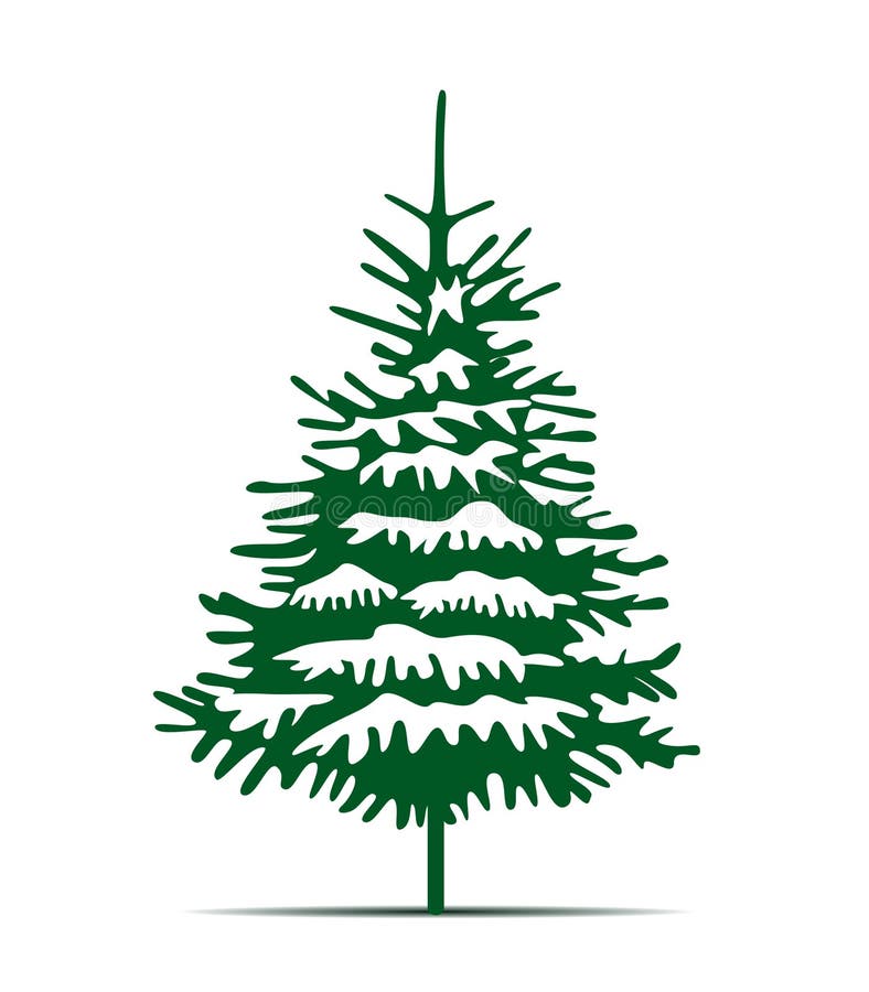 Green Spruce Tree with Roots. Vector Illustration and Icon. Evergreen ...