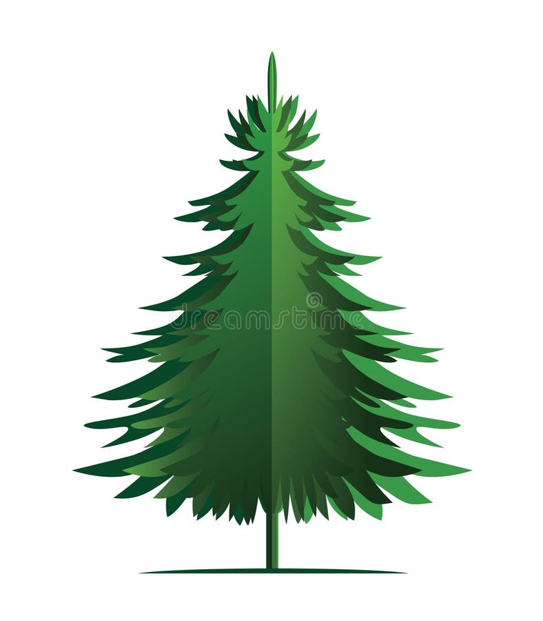 Green Spruce Tree with Roots. Vector Illustration and Icon. Evergreen ...