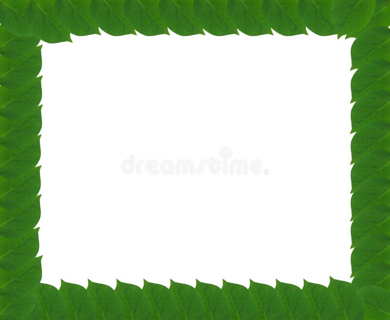 Green Square Frame from Leaves Stock Illustration - Illustration of ...