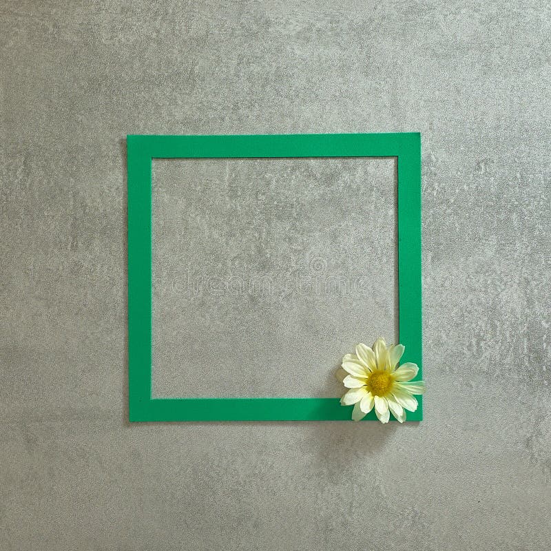 Green Square Frame and One White Flower on a Gray Concrete Background ...