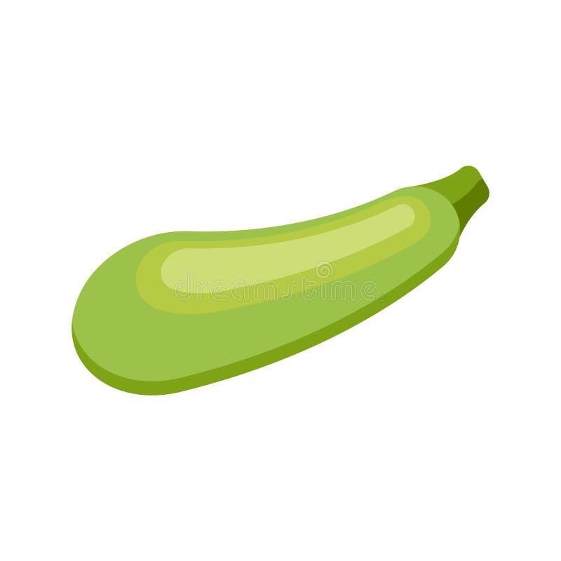 Green Squash Isolated on White Background. Vector Illustration Stock ...