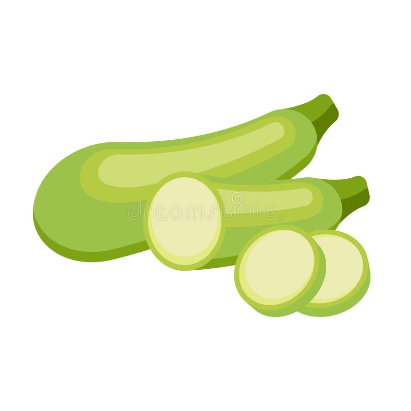 Green Squash Isolated on White Background. Vector Illustration Stock ...