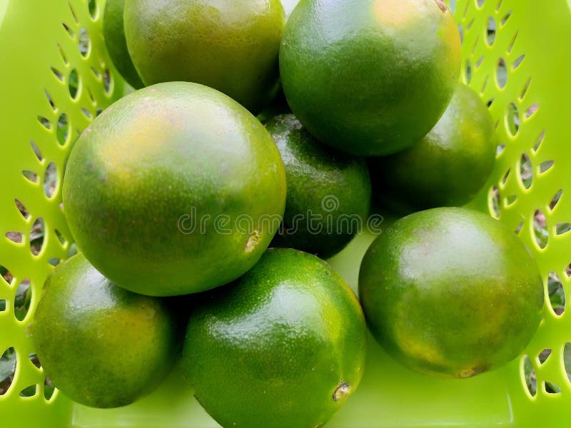 Green and Fresh Squeezed Oranges Stock Photo - Image of oranges, taste ...