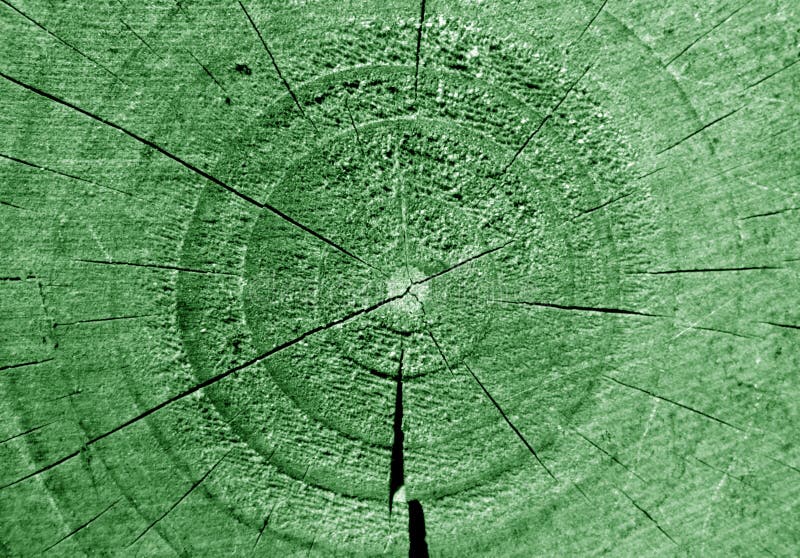 Green Stained Tree Trunk Cut with Annual Circles. B Stock Image - Image ...