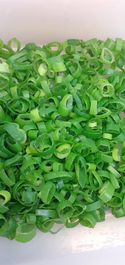 Green stem of cut shallot stock photo. Image of grass - 252615864