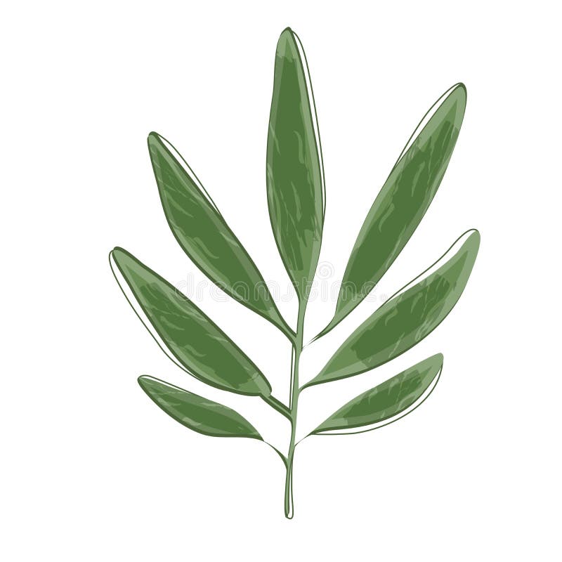 Green Stem with Leaves Texture Vector Image Stock Vector - Illustration ...