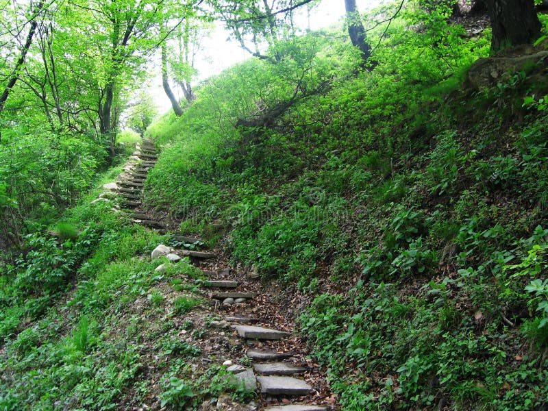 Mountain Steps stock image. Image of carolina, green, path - 141291