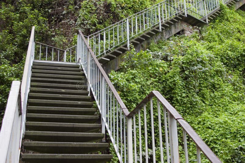 Green Steps Picture. Image: 806771