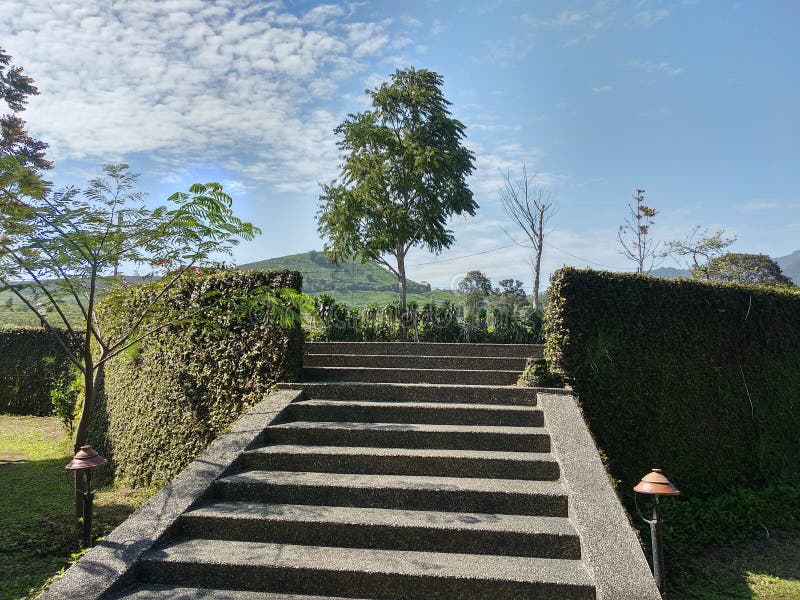 Green Steps To a Blue Sky stock image. Image of steps - 169373103
