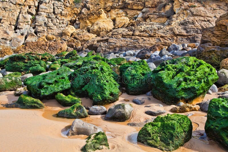 Green Stones on the Seashore Stock Photo - Image of coastline, rock ...