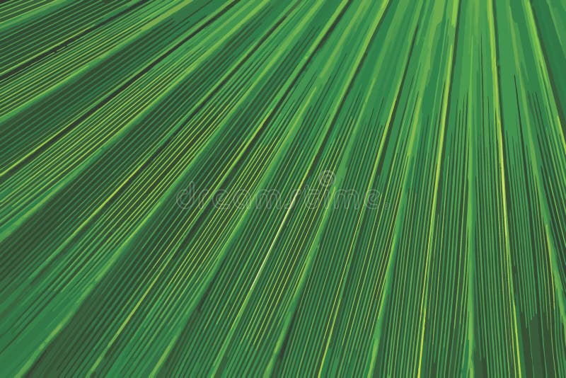 Green Straight Lines As Background Stock Illustration - Illustration of ...