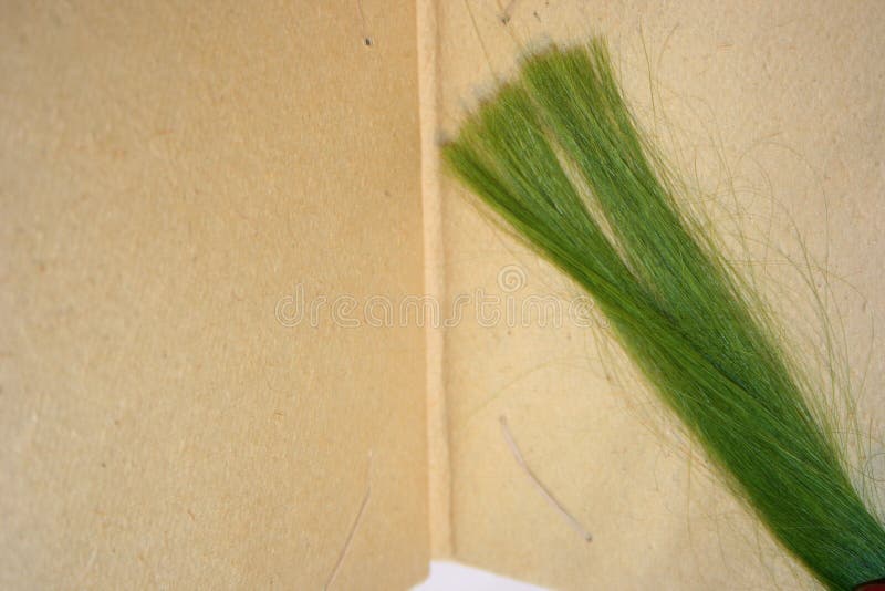 Green strands of hair stock photo. Image of clip, book - 14753670