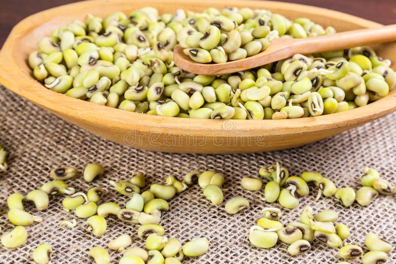 Green String Bean - Typical Northeastern Food with Dende Oil Stock ...