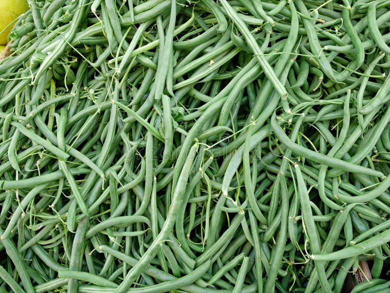 Green String Beans stock photo. Image of vegetarian, green - 26563866