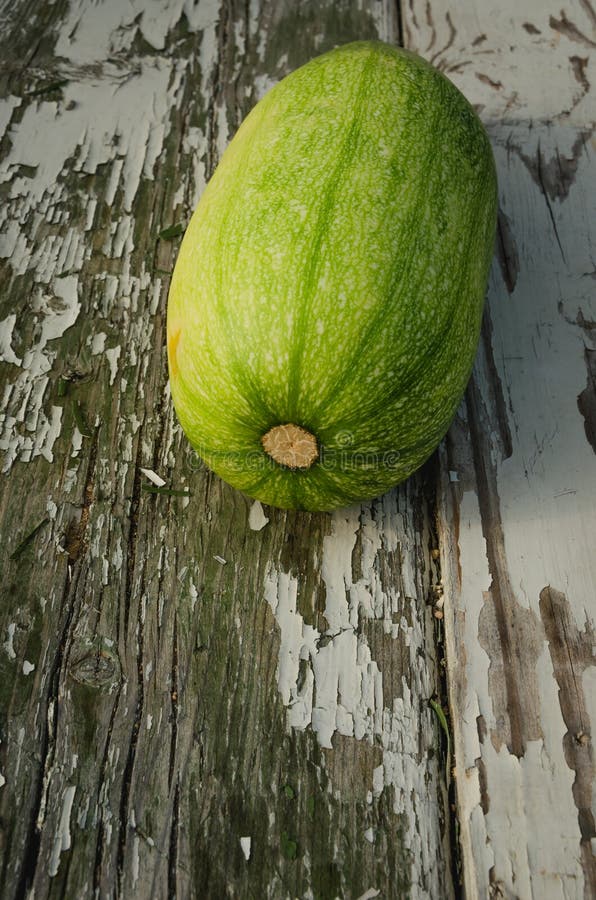 Green Striped Vegetable Marrow Stock Image - Image of food, vegetable ...
