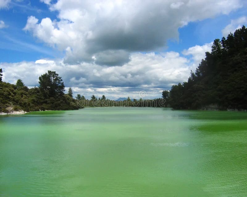 Green sulphur lake Rotorua stock image. Image of outdoor - 22585