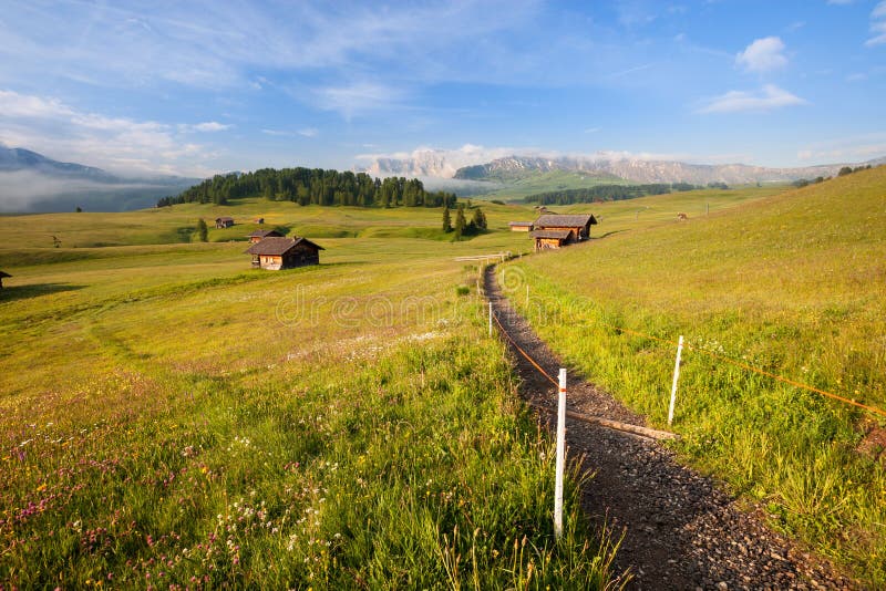 Green summer farmland stock image. Image of farmland - 43173141