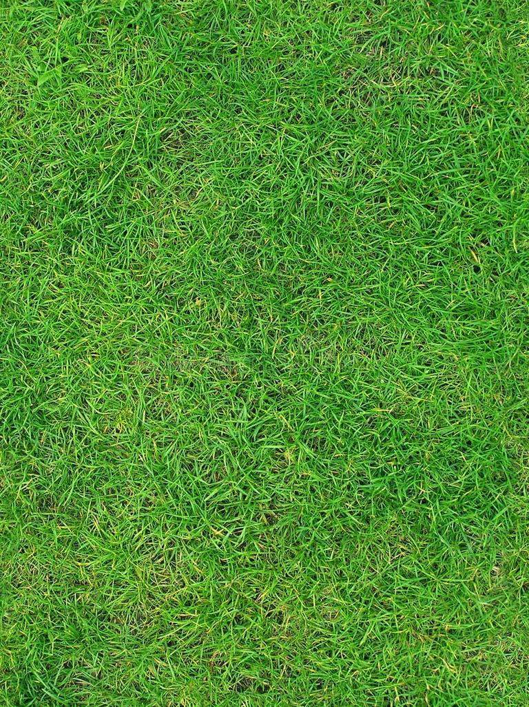 340,103 Summer Grass Texture Stock Photos - Free & Royalty-Free Stock ...